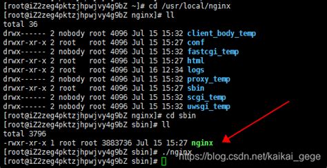 两个nginx如何处理宝塔安装和自己安装的nginx Error Open “nginxpid“ Failed 2