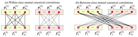 Illustration Of The Within Class And Between Class Mutual Canonical
