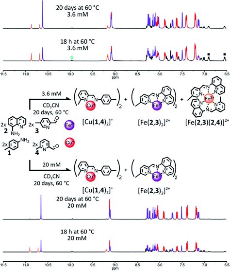 Self Sorting Of Two Imine Based Metal Complexes Balancing Kinetics And Thermodynamics In