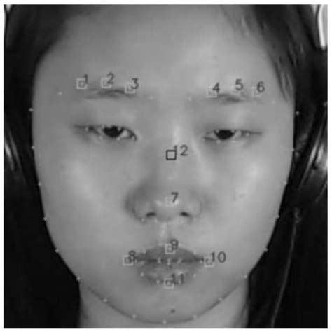 Micro Expression Detection Method Based On Optical Flow Eureka Patsnap