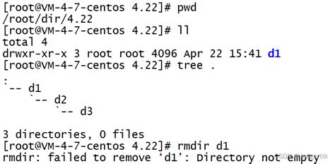 【linux】linux基本指令(上)ls D Csdn博客 【linux】linux基本指令(上)ls D Csdn博客