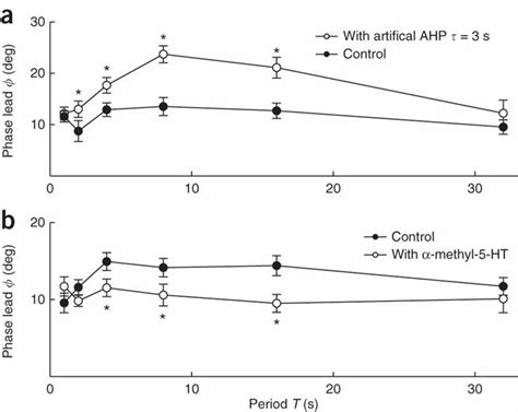 Fractional Differentiation Depends On A Balance Of Multiple Adaptation