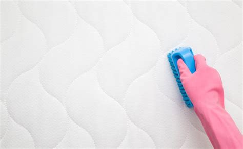 How To Remove Urine Stains From A Mattress Saatva