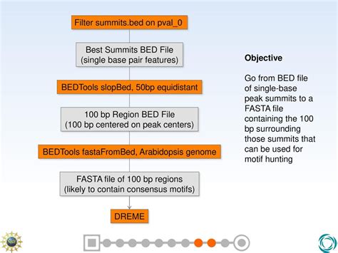 Advanced Chip Seq Identification Of Consensus Binding Sites For The Leafy Transcription Factor