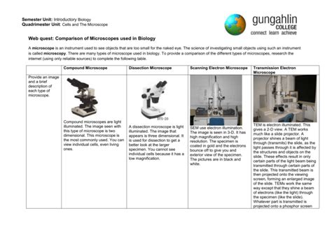 Types Of Microscope Chart At Dustin Heard Blog
