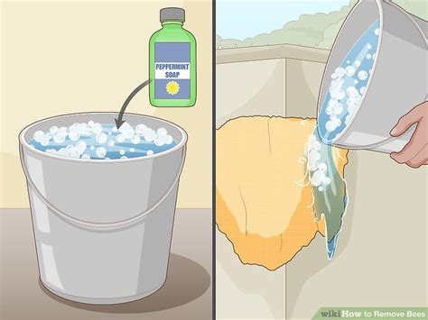 Ways To Remove Bees WikiHow