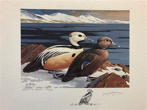 Federal Duck Stamp Print 1973 74 Stellers Eider Remarqued By Lee Leblanc