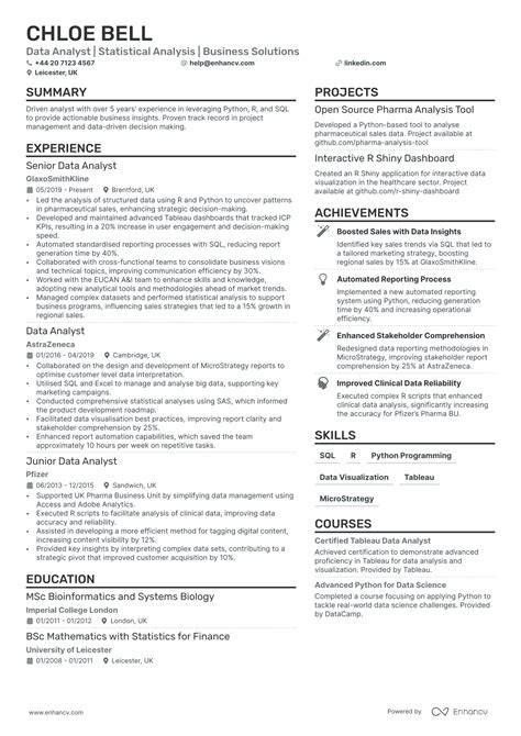 Senior Data Analyst CV Examples Guide For