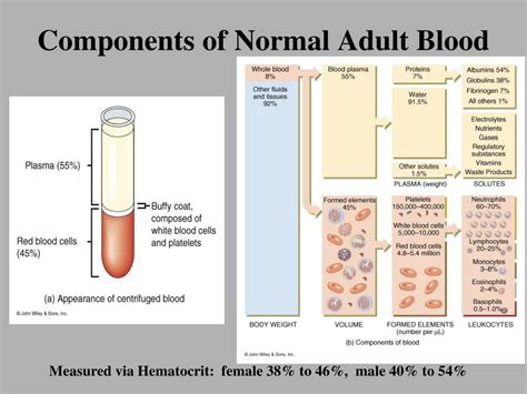Normal Hemoglobin Elevated Hematocrit At Andres Lowe Blog