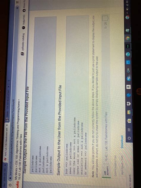 Solved Books 1642 Lab 138 Palindromes With Files Zybooks