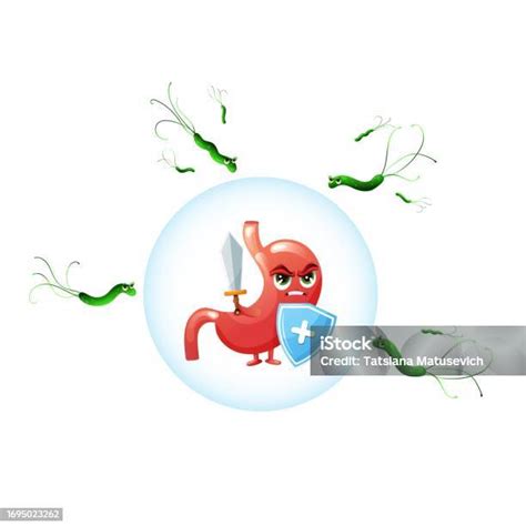 헬리코박터 파일로리 박테리아에 대한 방패와 칼을 가진 만화 위 캐릭터 헬리코박터에 대한 스톡 벡터 아트 및 기타 이미지 헬리코박터 개념 건강관리와 의술 Istock