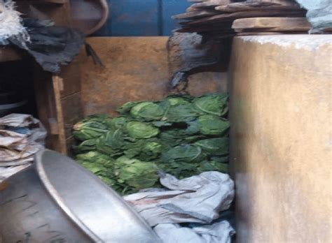 Cabbage Storage Facility Asafo Download Scientific Diagram