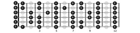 Guitar Fretboard Notes Stjord