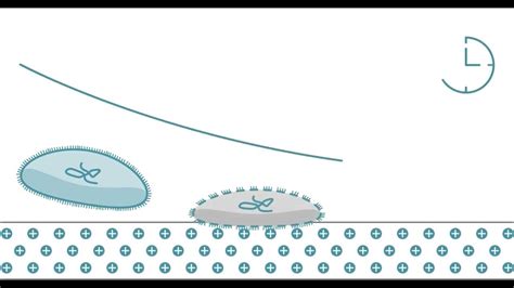 융스위치 융콘센트 Jung Switch 향균기능을 추가한 스위치 콘센트 Silverplus 스위치 콘센트에 향균 기능을 추가 Youtube