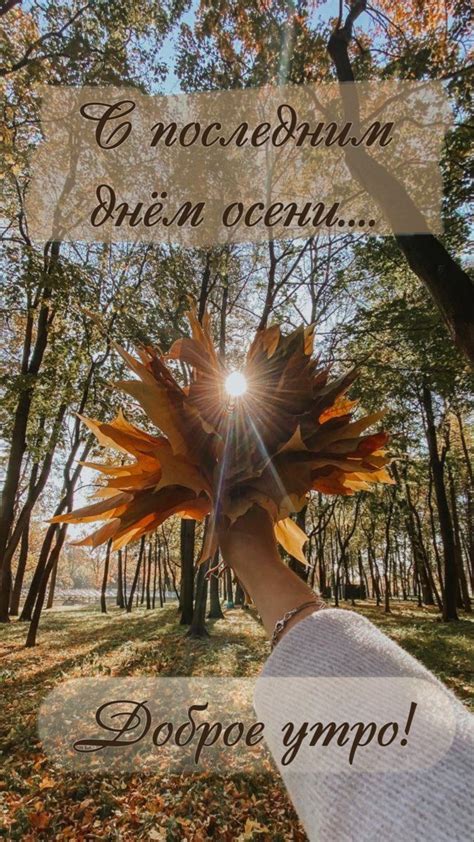 Доброе утро Последний день осени… Доброе утро Осень Галерея
