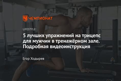 Лучшие упражнения для тренировки трицепса в тренажерном зале ЗОЖ Советы новичкам Elika