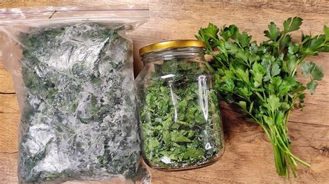 Два ЛУЧШИХ СПОСОБА ЗАГОТОВКИ ПЕТРУШКИ НА ЗИМУ КАК ПРАВИЛЬНО СОЛИТЬ ПЕТРУШКУ ПРАВИЛЬНАЯ