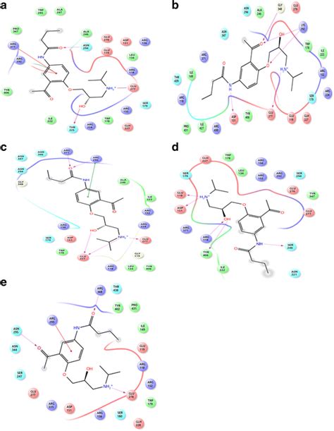 2d Interaction Map Of Acebutolol With Na Mutant A H274y B R292k C