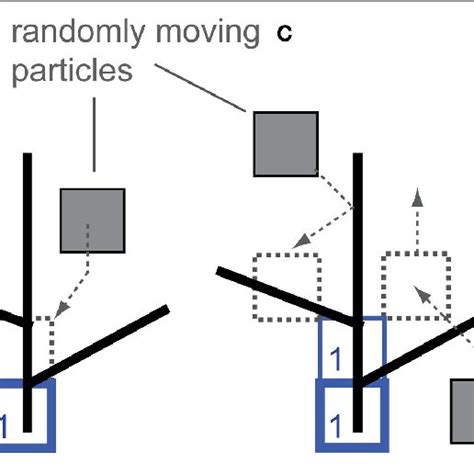 Reproduction Of Shape With The Dla Algorithm A The Initial Particle