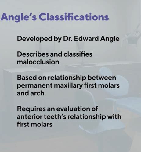 Angles Classification Of Occlusion Flashcards Quizlet