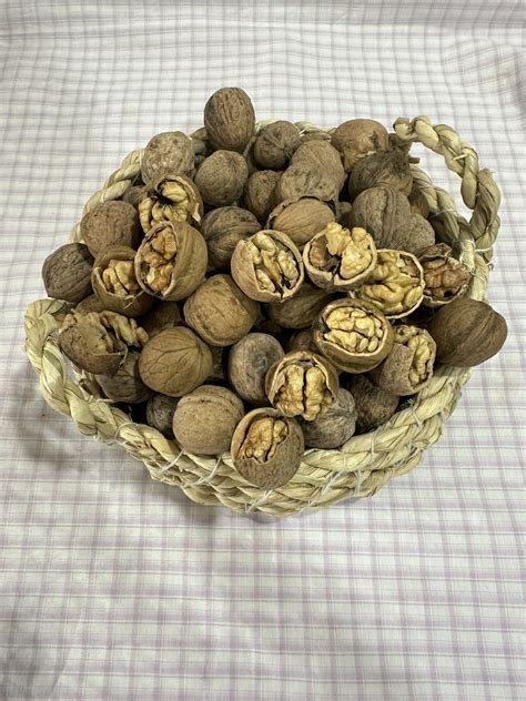 گردوی سایز ریز فندقی گردو کـده دختر گـردویی