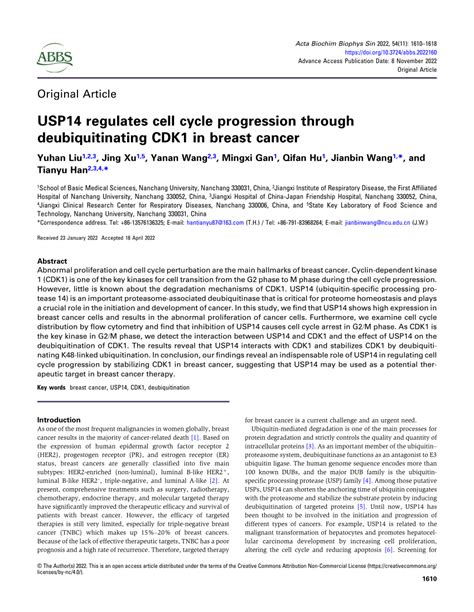 Pdf Usp14 Regulates Cell Cycle Progression Through Deubiquitinating