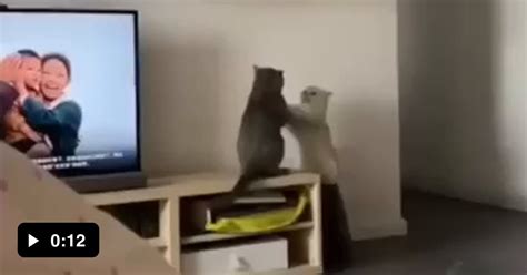 Nip Time 9GAG