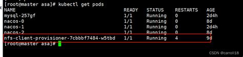 kubernetes集群配置默认存储类（nfs） kubectl get storageclass csdn博客