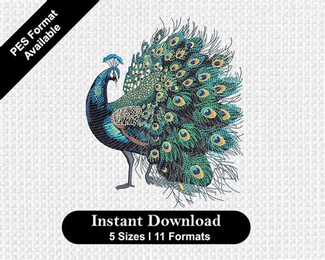 Elegant Peacock Embroidery Design Digital Machine Embroidery Pattern
