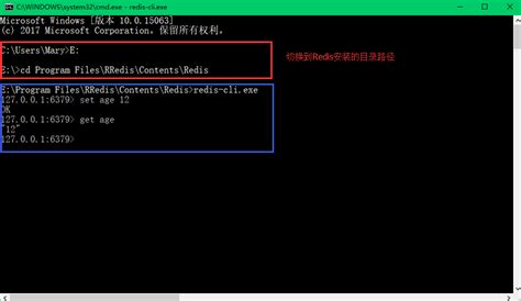 redis安装与使用教程 csdn博客