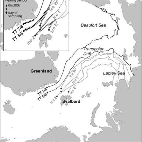 Simulated Back Trajectories Gray Lines Of The 4 Ice Floes Examined Download Scientific