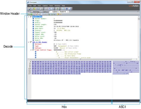 Decoding Packets Documentation