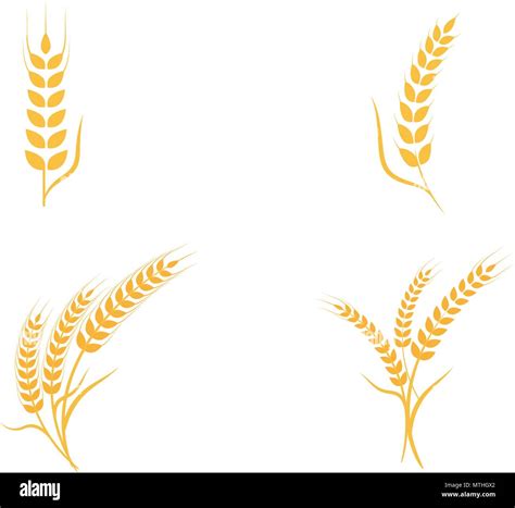Spike Of Wheat Logo Cut Out Stock Images And Pictures Alamy