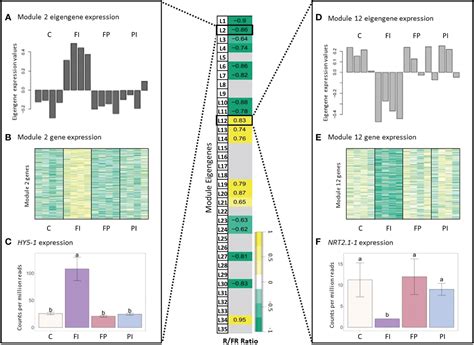 Frontiers Emergent Molecular Traits Of Lettuce And Tomato Grown Under Wavelength Selective