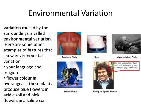 Ppt Edexcel Gcse Science Powerpoint Presentation Free Download Id654184