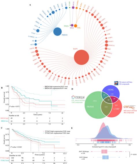 Exploring Feasibility Of Druggable Genes In Treating Driver