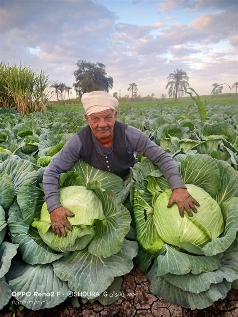 Nitish Mandal Posted On Linkedin