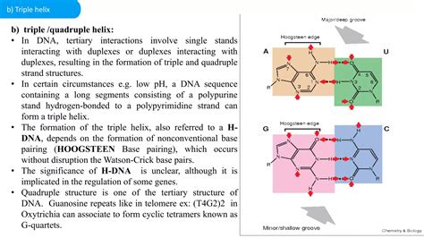 Dna Structure Pptx