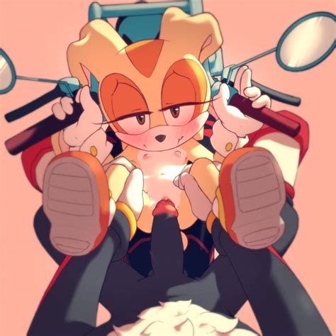 Creamtherabbit Shadowthehedgehog