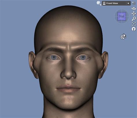 How To Create A Mirror Morph For Mesh Grabber Daz 3d Forums