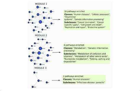 Clustered Pathway Enrichment Analysis Of The Msigdb Gene Set Download Scientific Diagram