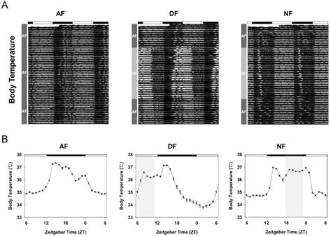 Young Adult Male Mice Surgically Implanted With E Mitter Probes Were Download Scientific