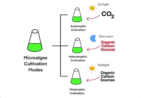 Microalgae Cultivation Status Download Scientific Diagram