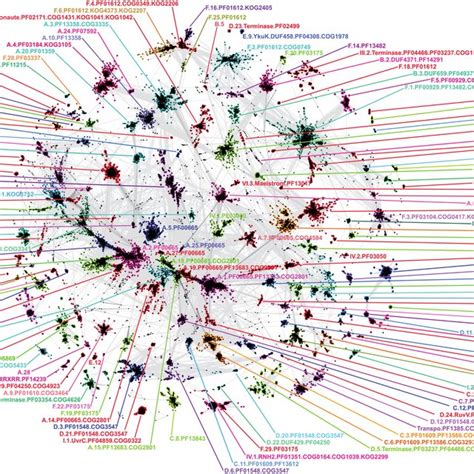 Two Dimensional Projection Of The Clans Clustering Results Obtained For