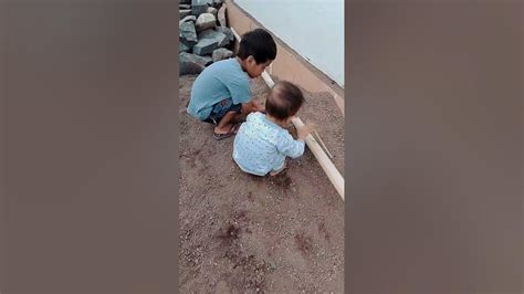 Akur Adek Kakak Gemes Youtube