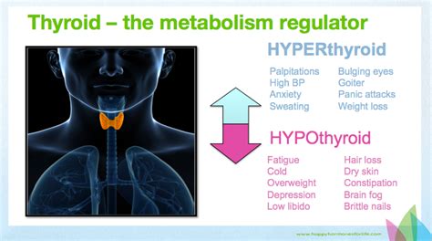 How To Tell If Your Thyroid Is Struggling And 13 Tips To Help It Naturally