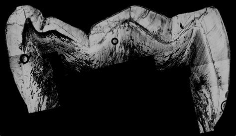 Thin Section Image 40x