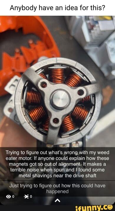 Alignments Memes Best Collection Of Funny Alignments Pictures On Ifunny