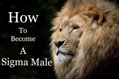 What Is Sigma Male And How To Become A Sigma Male Ultimate Guide