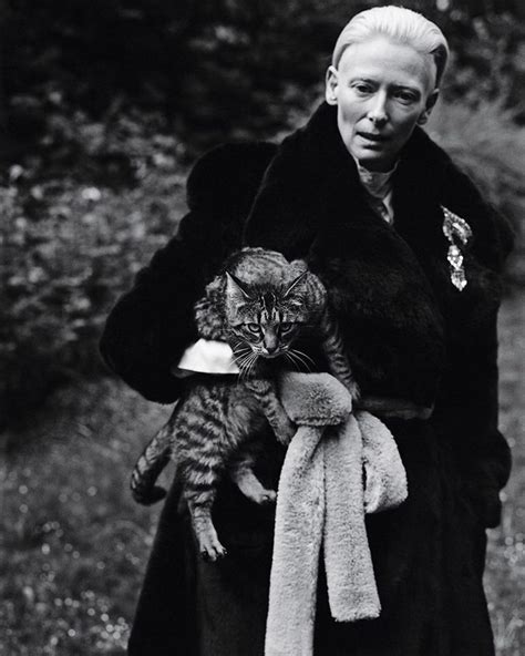 Tilda Swinton Tim Walker Cats Tilda Swinton Photoshoot Cat Actor